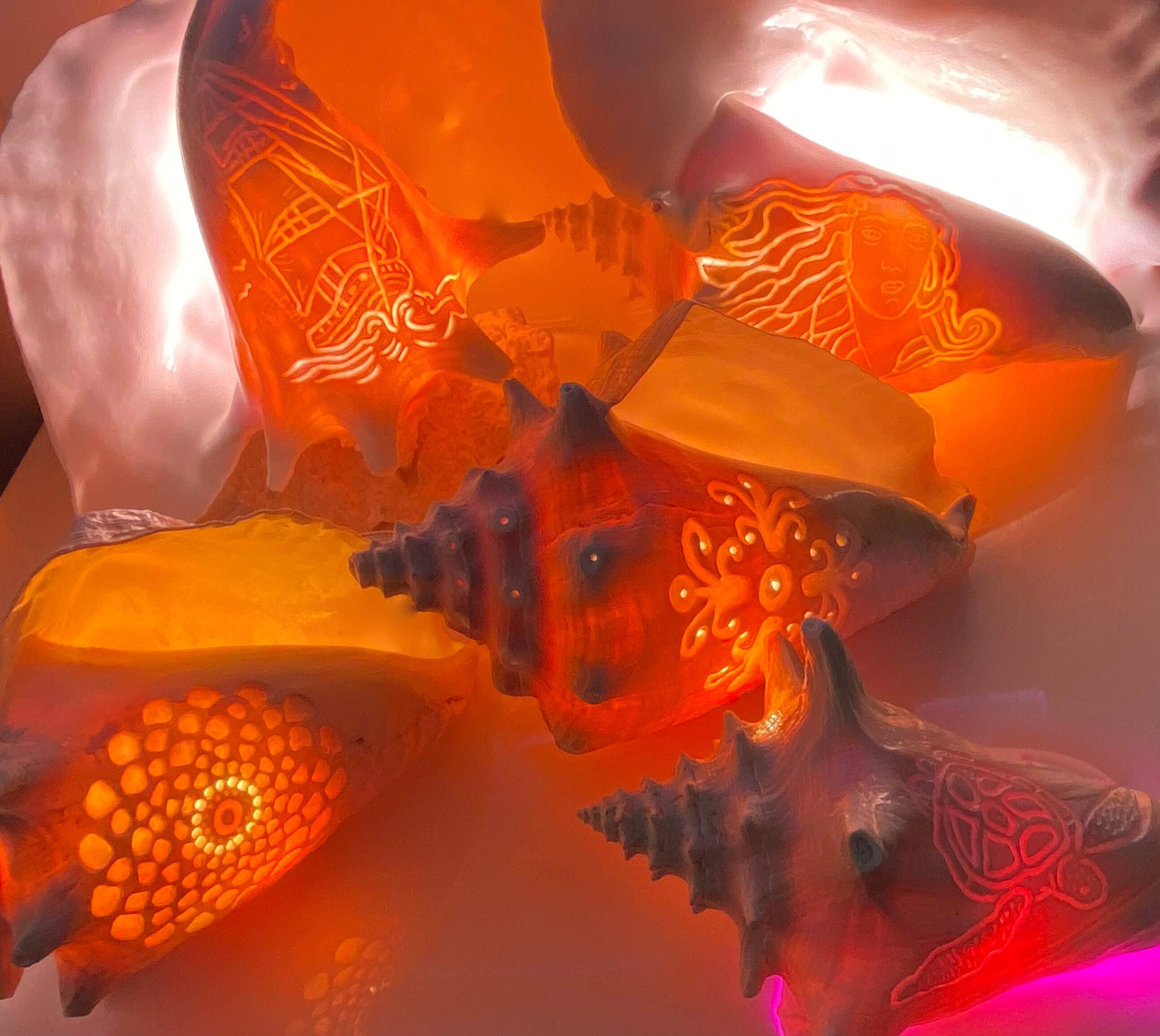 Hand Carved Queen Conch Shell - Etsy