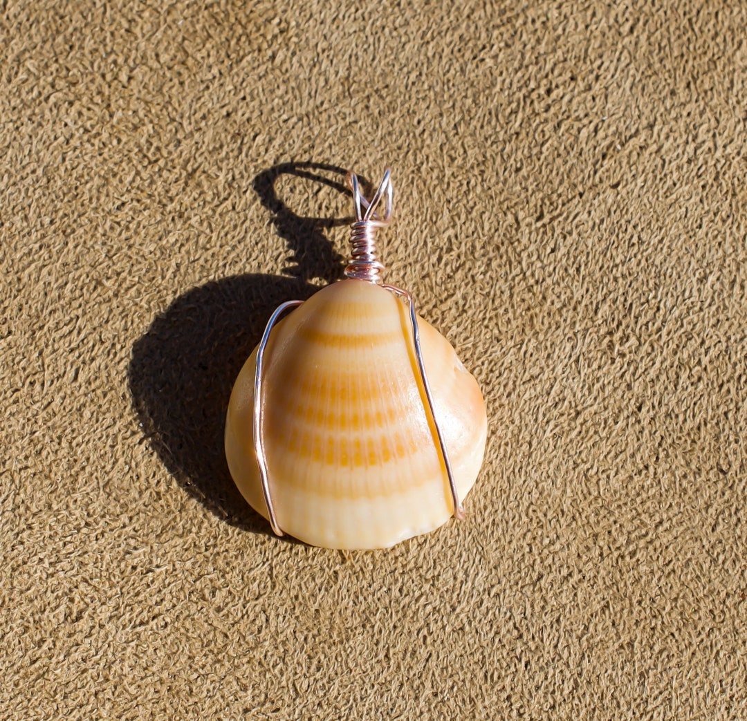 Spectral Bittersweet Clam Pendant - Etsy