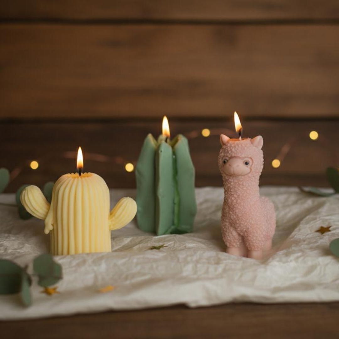 Cactus & Llama Candle Set | Handmade Soy Wax Candles | Whimsical Home ...