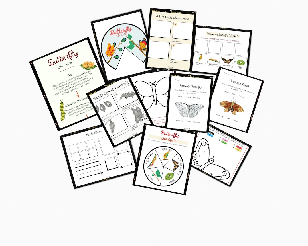 40 Pack Butterfly Unit Bundle - Unit Study - Life Cycle of a Butterfly ...