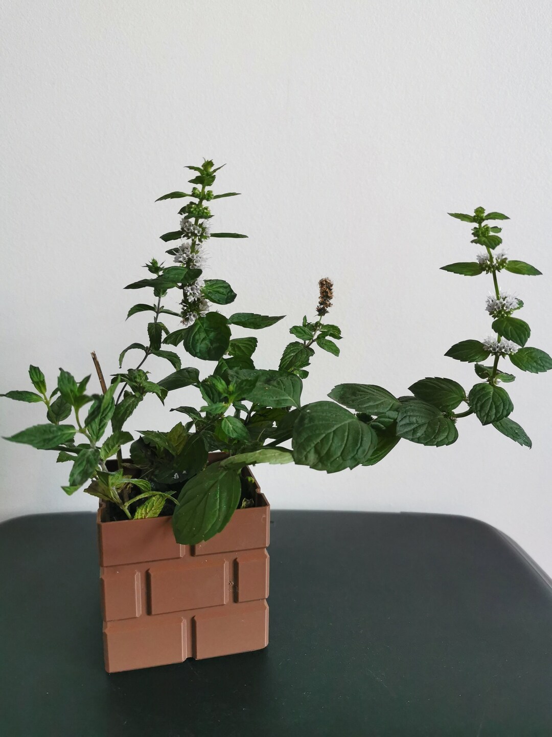 Brick Super Mario Flower Pot Plant Pot Brick Super Mario - Etsy