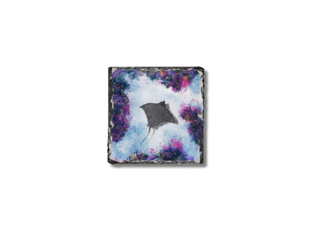 Slate Stone Coasters Spotted Eagle Ray Original Art With Unique ...