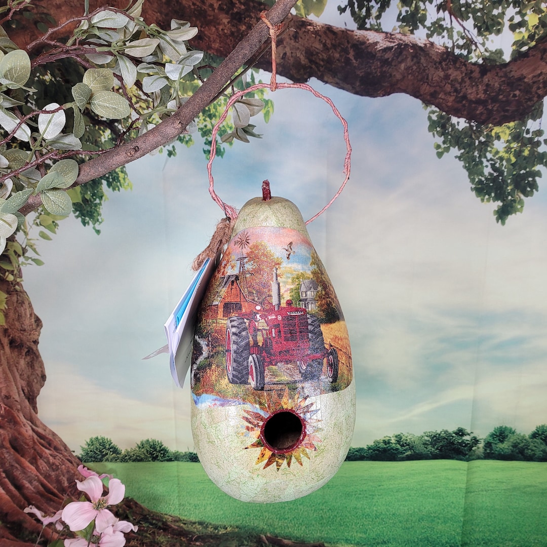 Farmall Tractor Birdhouse Gourd - Etsy