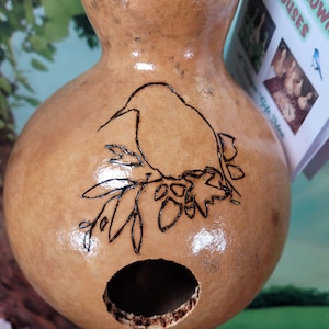 Pyrography Birdhouse Gourd - Etsy
