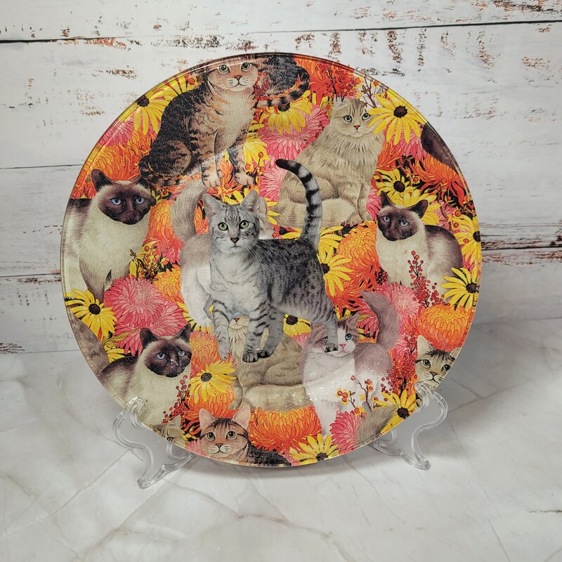Cat Decorative Plate - Etsy
