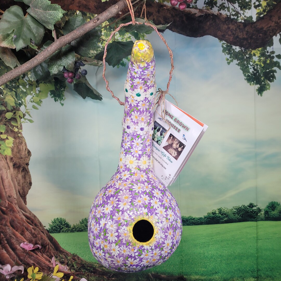 Purple and White Daisy Birdhouse Gourd - Etsy