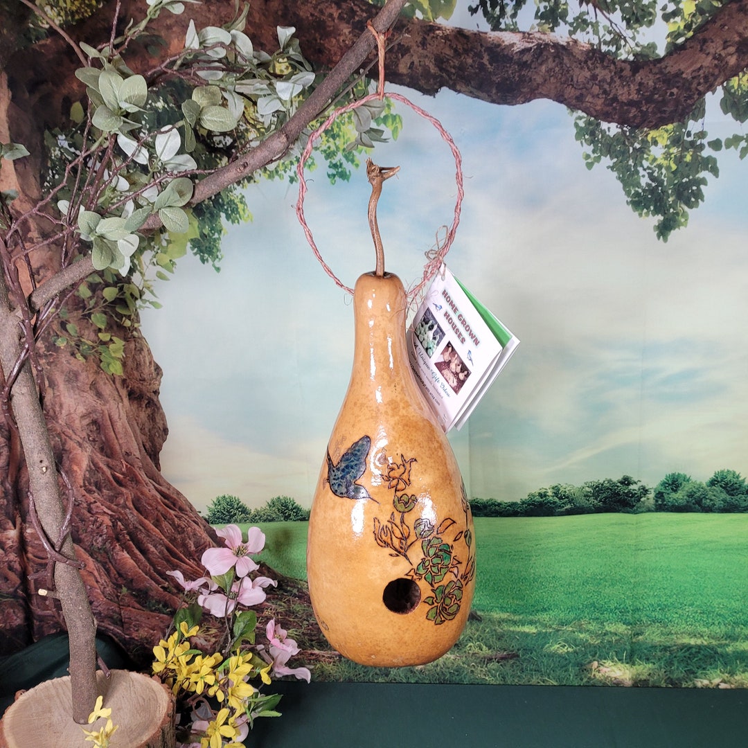 Large Floral Bluebird Pyrography Gourd - Etsy
