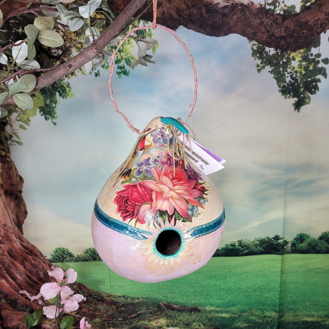 Egg-shaped Hummingbird Decorative Birdhouse Gourd - Etsy