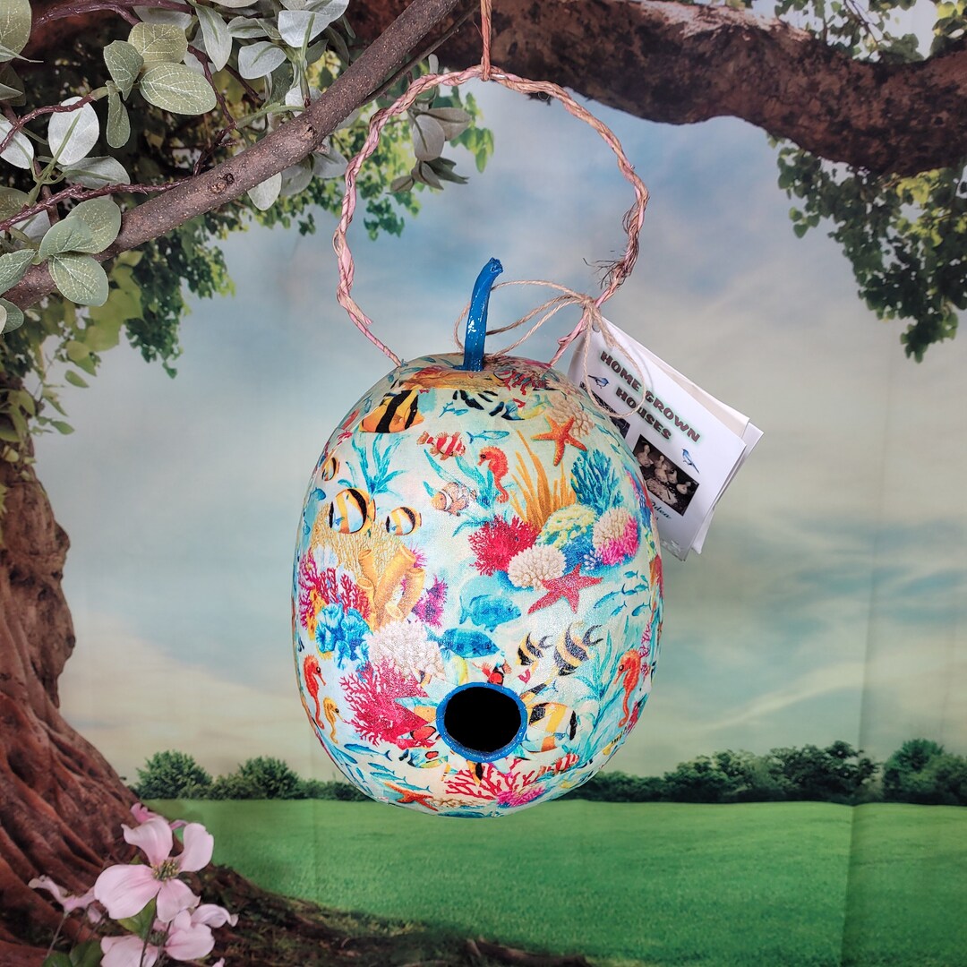 Ocean Fish Decorative Gourd - Etsy