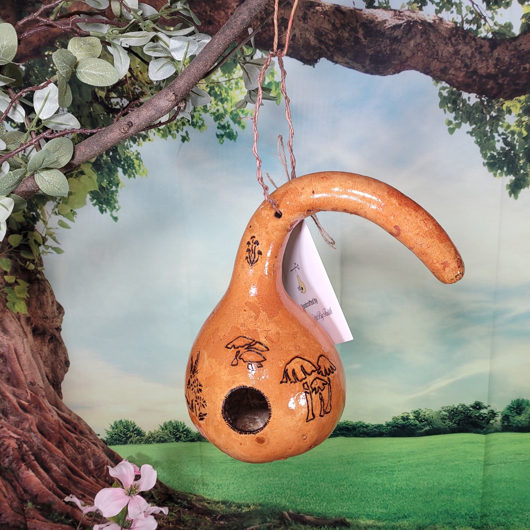 Mushroom Botanical Pyrography Birdhouse Gourd - Etsy