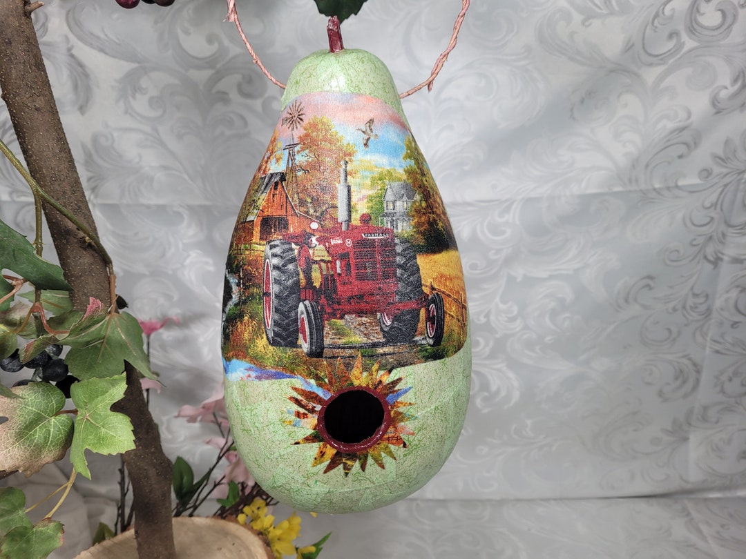 Farmall Tractor Birdhouse Gourd - Etsy