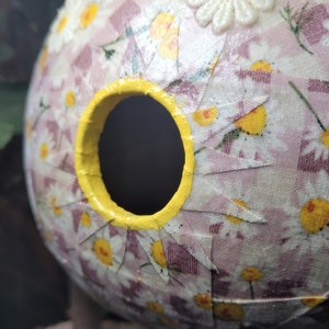 Daisie on Plaid Birdhouse Gourd - Etsy