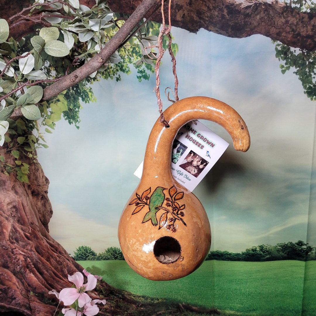 Bluebird on Branch Pyrography Gourd - Etsy