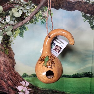 Bluebird on Branch Pyrography Gourd - Etsy