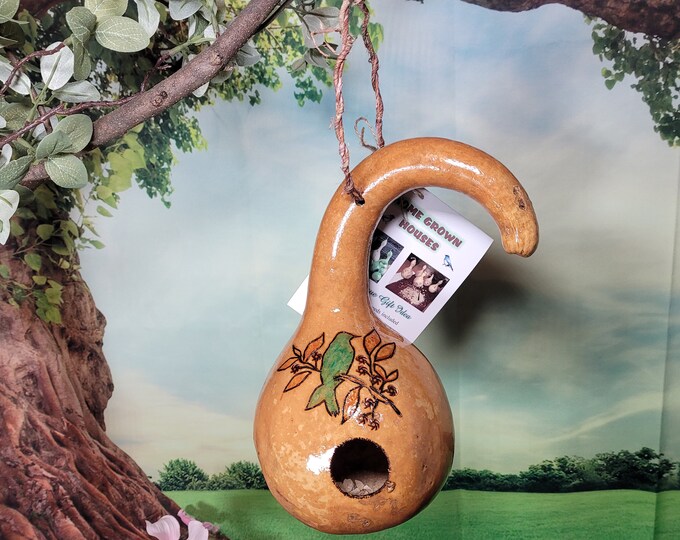 Bluebird on Branch Pyrography Gourd - Etsy