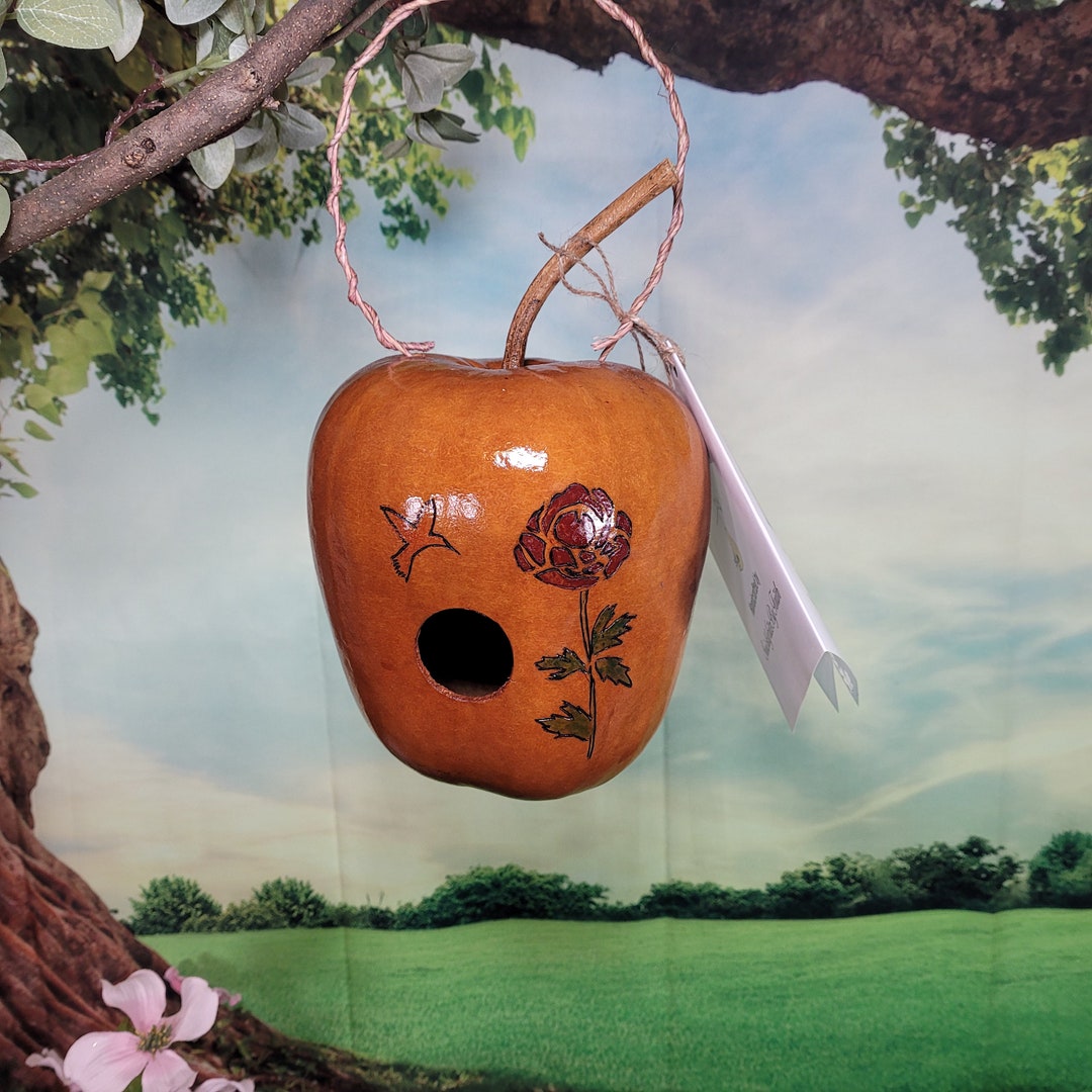 Apple Pyrography Gourd With Rose - Etsy