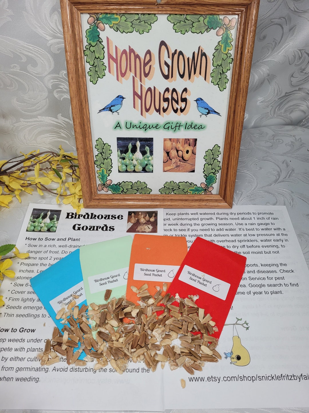 Birdhouse Gourd Seeds - Etsy