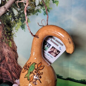 Bluebird on Branch Pyrography Gourd - Etsy