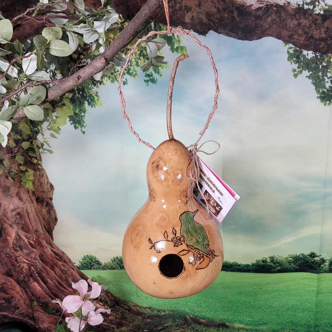 Bluebird on Branch Pyrography Gourd - Etsy