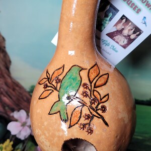 Bluebird on Branch Pyrography Gourd - Etsy