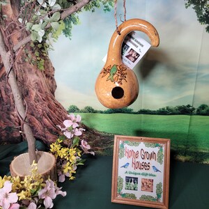 Bluebird on Branch Pyrography Gourd - Etsy