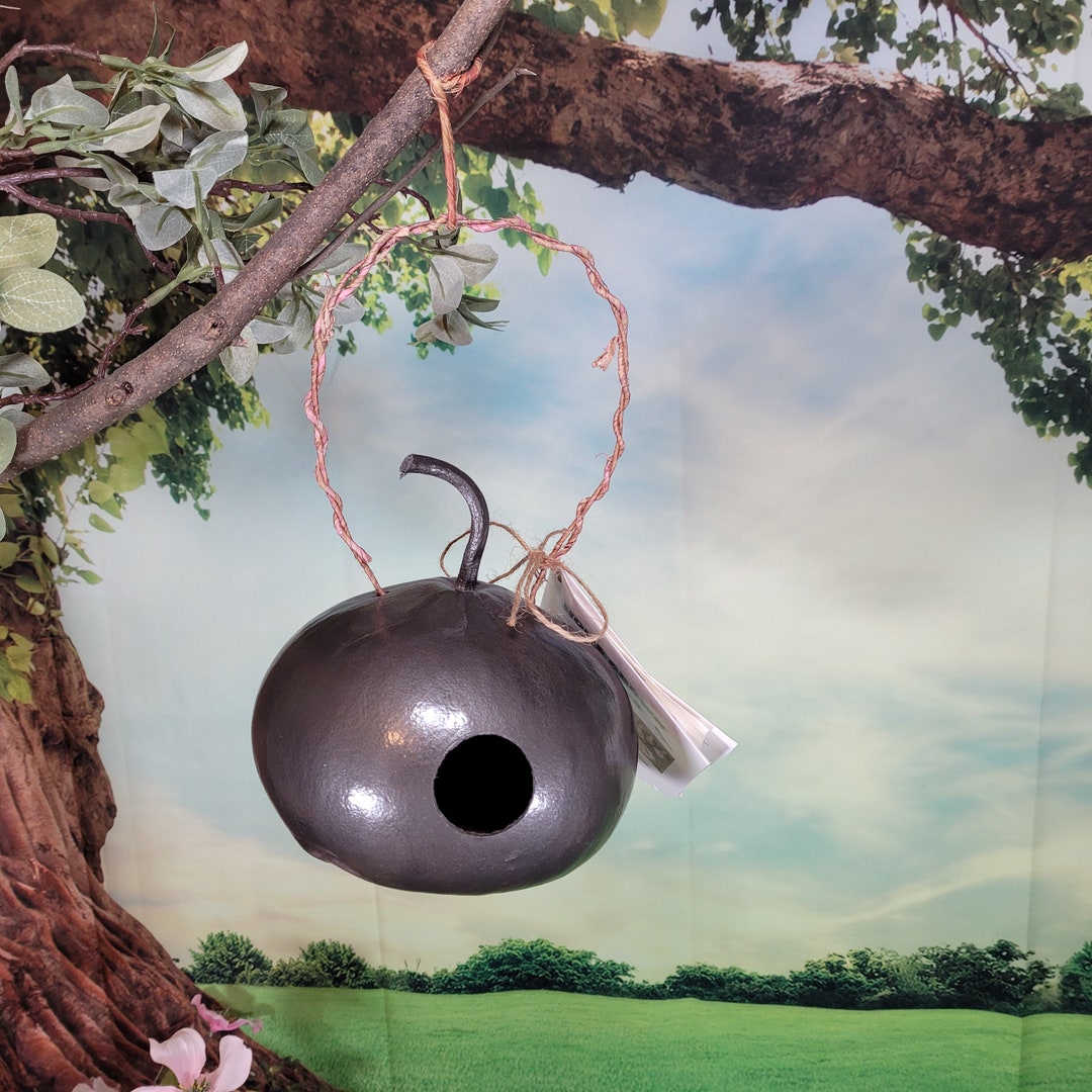 Silver Iron Kettle Gourd Birdhouse - Etsy