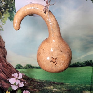 Bluebird on Branch Pyrography Gourd - Etsy