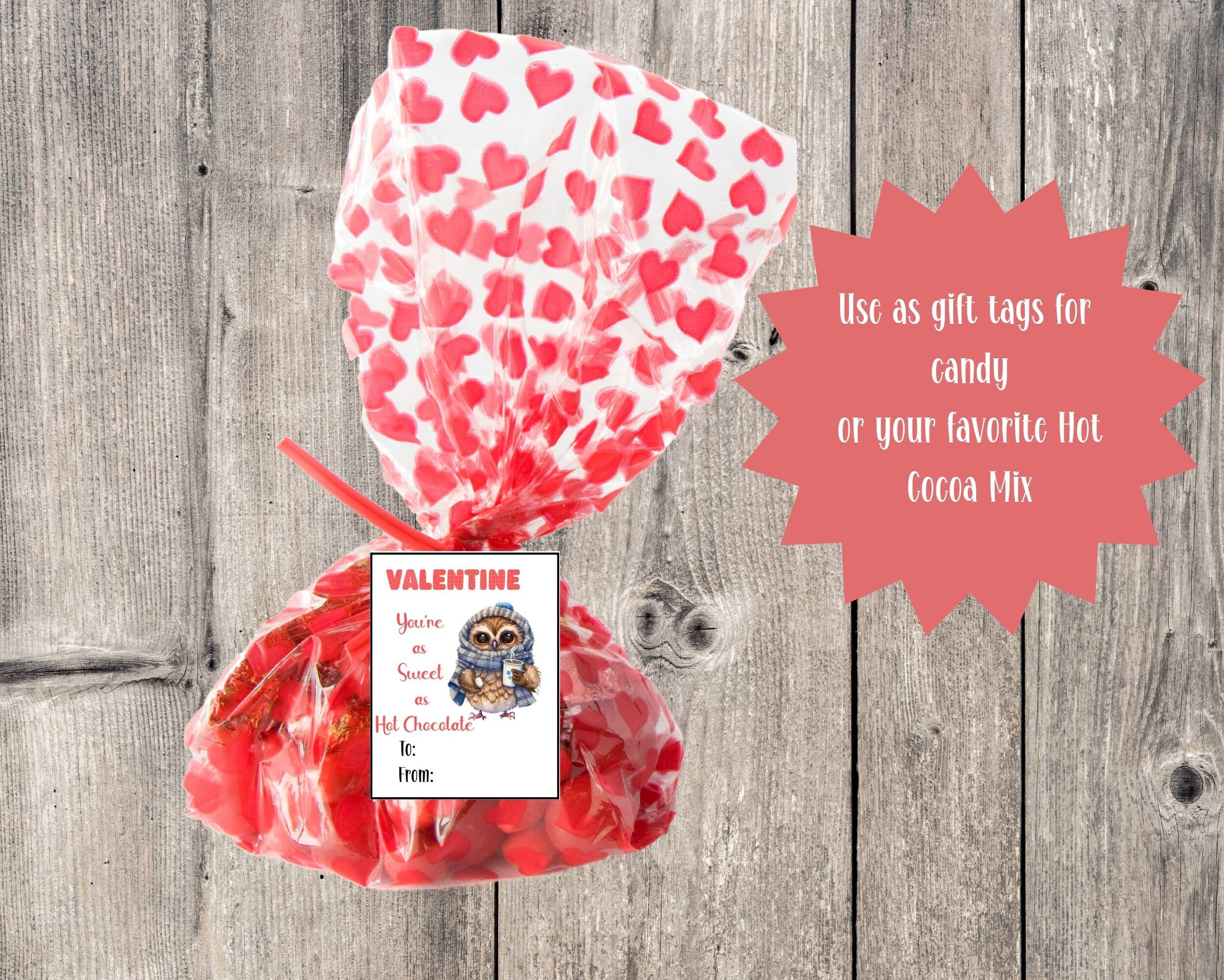 Cute Owl Themed Valentines Cards for Kids, Printable Owl and Hot Cocoa ...