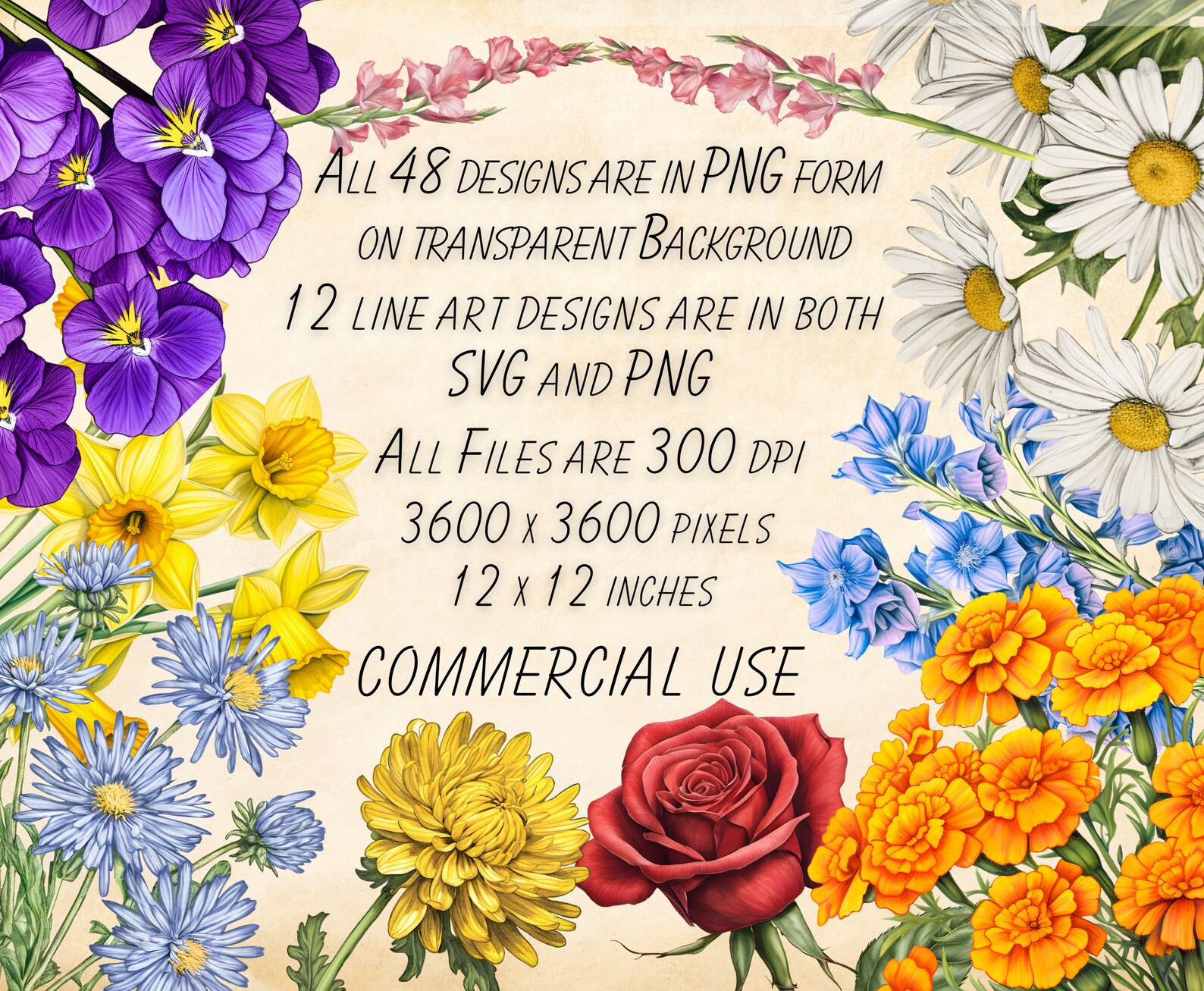 Hand-drawn Birth Flower Clipart Bundle, Color Single Birth Flowers PNG ...