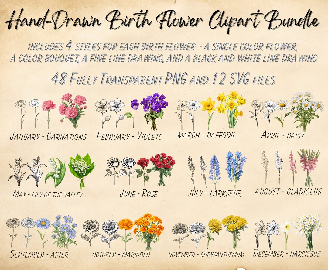 Hand-drawn Birth Flower Clipart Bundle, Color Single Birth Flowers PNG ...