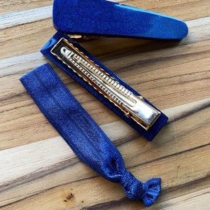To Have and to Hold Your Hair Back, Hair Clip Set, Resin Hair Clips ...