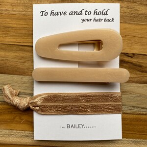 To Have and to Hold Your Hair Back, Hair Clip Set, Resin Hair Clips ...