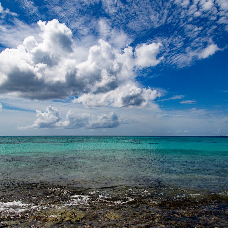 Tropical Waters - Etsy