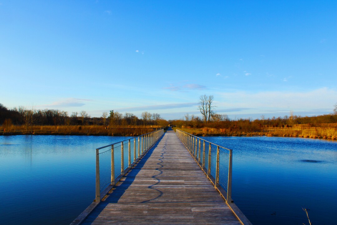 Wooden Bridge for Water Landscapes Photo on Canvas, Modern Wall Art ...