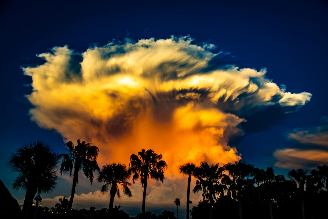 Dramatic Florida Sunset Cloud With Palm Trees and Dark Blue Sky, Cloud ...