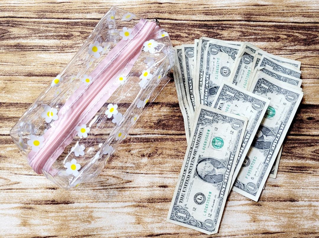 Daisy PVC Money Pouch | Transparent Money Bag| Great for Savings ...