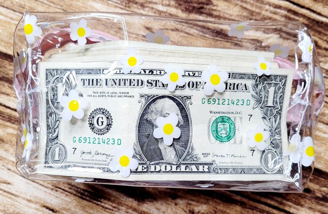 Daisy PVC Money Pouch Transparent Money Bag Great for - Etsy