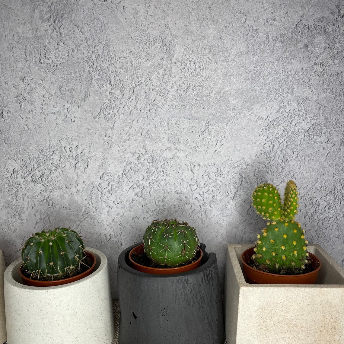 Square Mini Eco-friendly Pot | Minimalist Plant Pot | Cement Pots ...