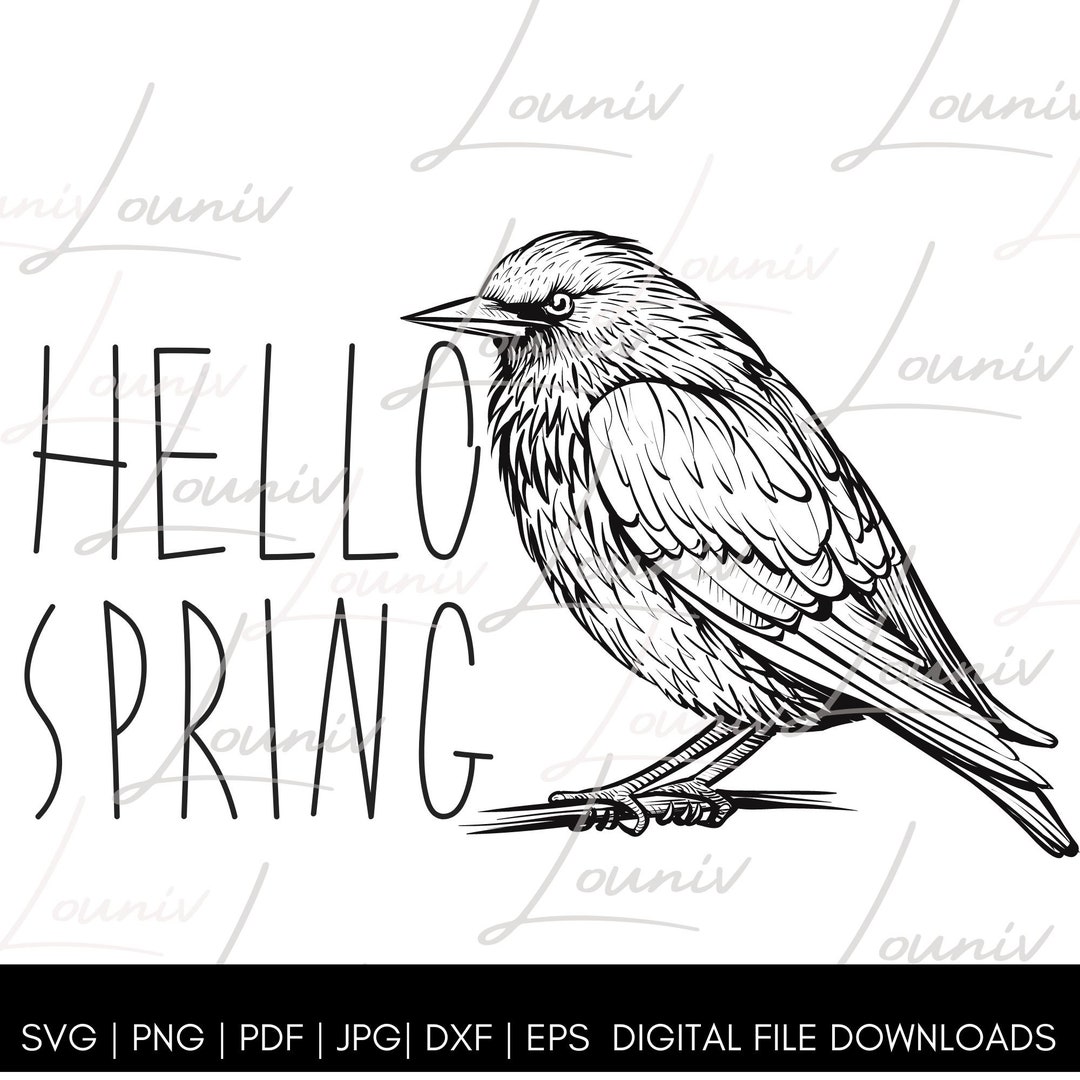Hello Spring Starling Bird Svg File, Dxf File, Shirt Designs Svg, Svg ...