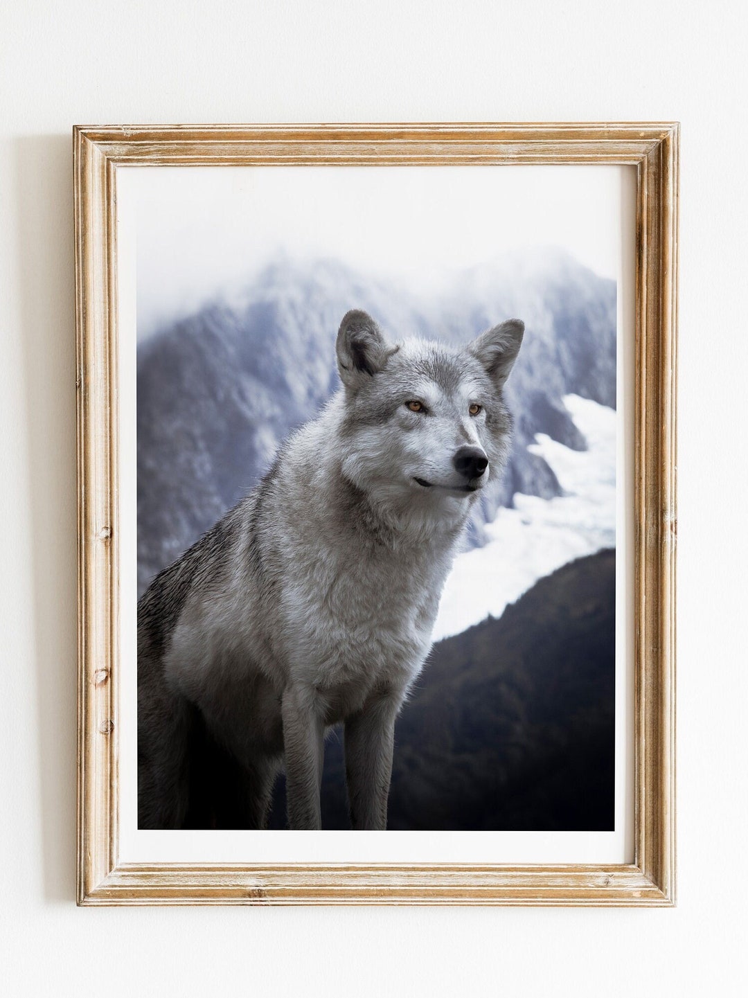 Wolf & Glacier II Fine Art Photography by Rachel Bear Photo Wildlife ...