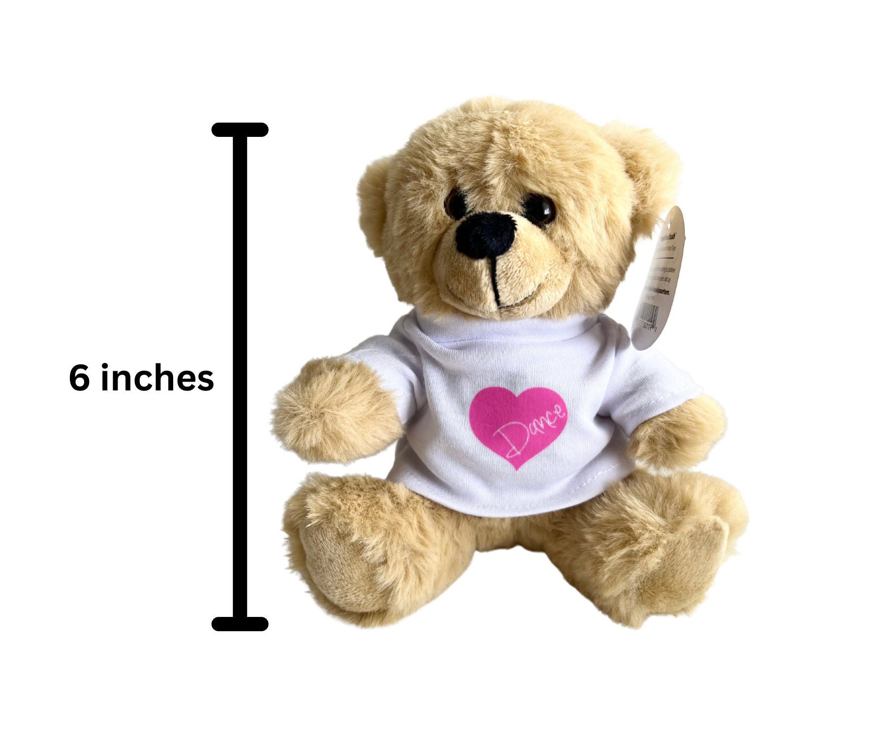 6 Inch Custom Teddy Bear, Dance Teddy Bear, Gymnastics Teddy Bear ...