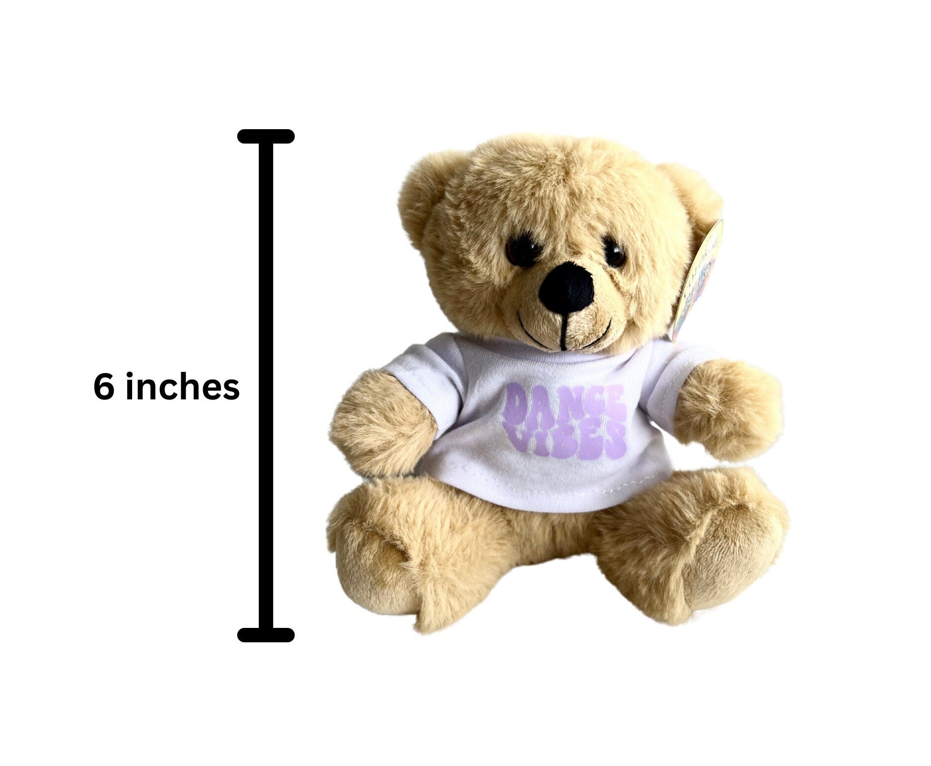 6 Inch Custom Teddy Bear, Dance Teddy Bear, Gymnastics Teddy Bear ...