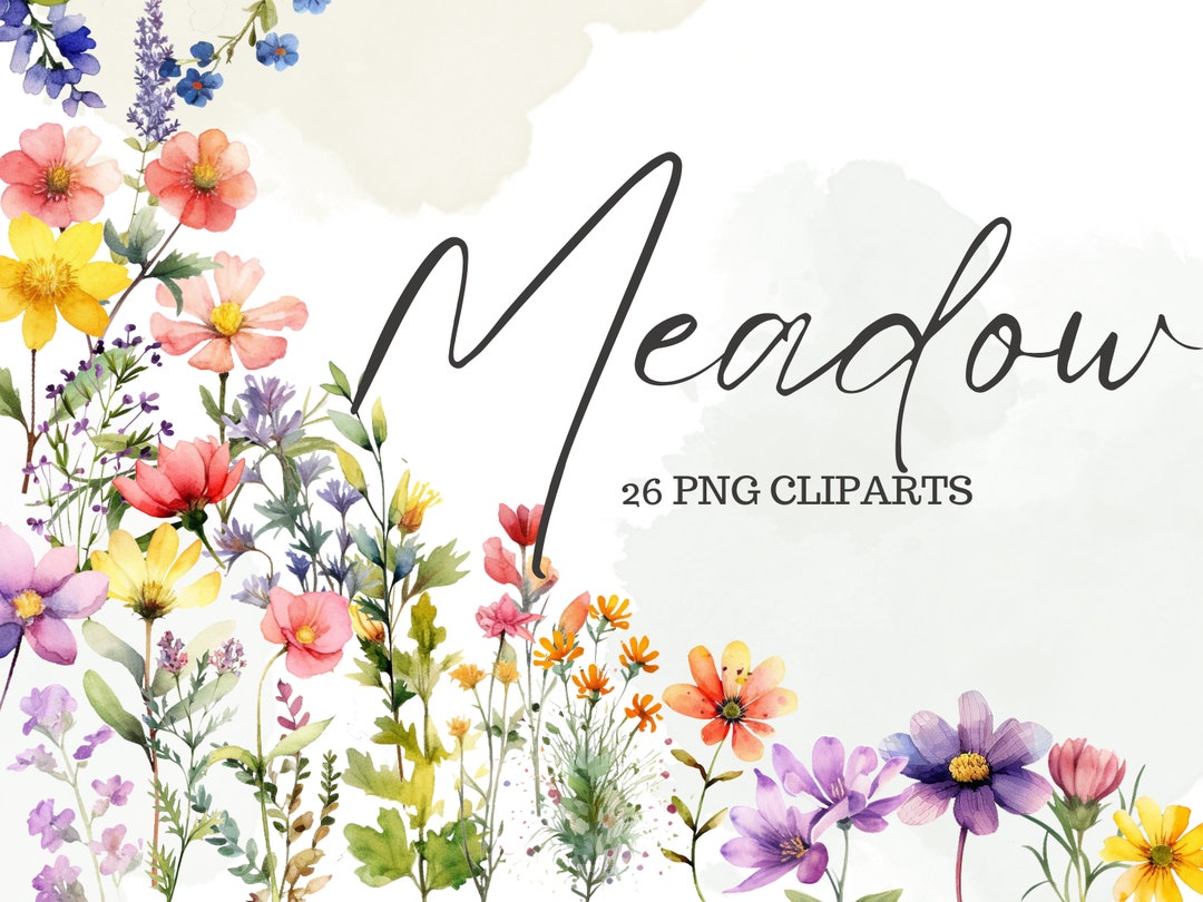 Watercolor Meadow Flowers Clipart Spring Wildflower Floral - Etsy