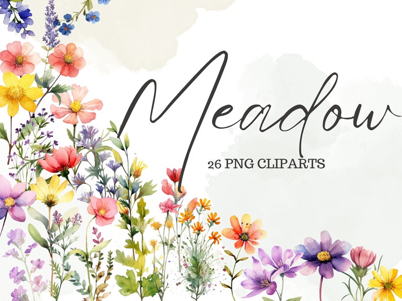 Watercolor Meadow Flowers Clipart Spring Wildflower Floral - Etsy