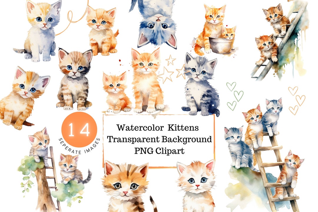 Watercolor Kitten Clipart - Commercial Use Instant Download, Cute Cats ...