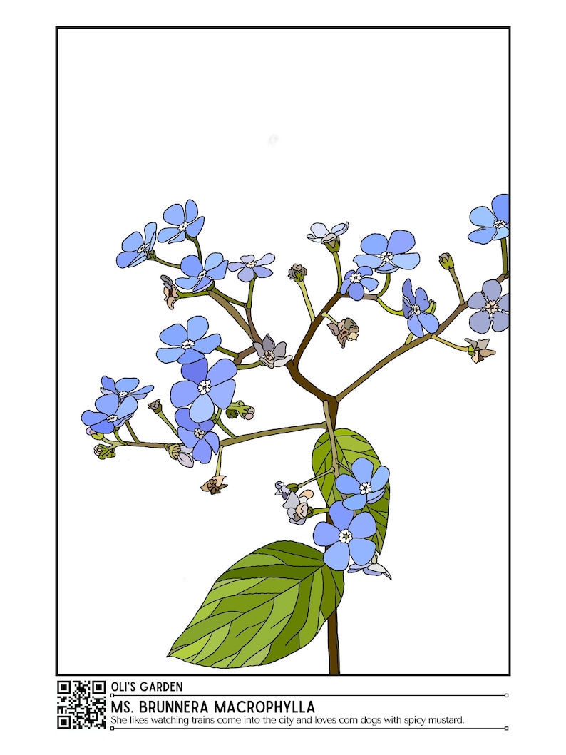 Ms. Brunnera Macrophylla - Etsy