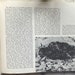 Vintage Book - Elements of Design - 1960s Art Book - Etsy