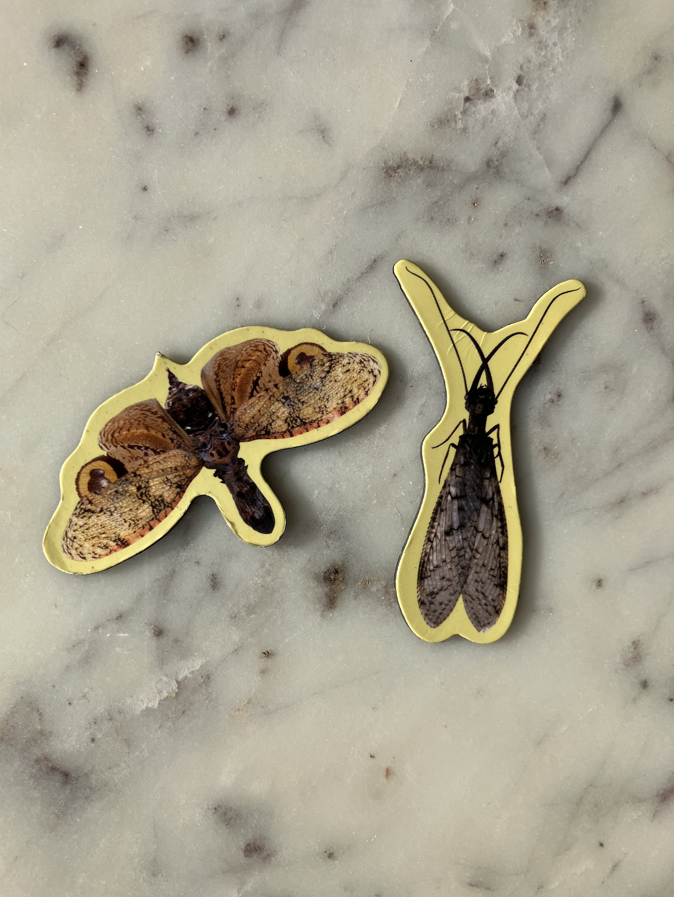 Vintage Insect Fridge Magnets - Bug Fridge Magnets - - Etsy
