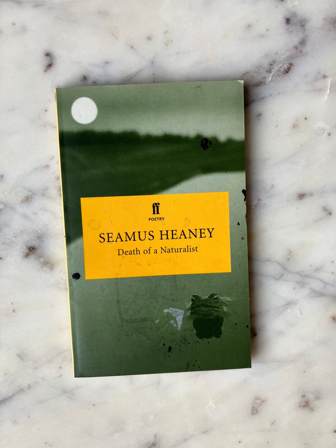 Death of a Naturalist Vintage Poetry Book (paperback) by Seamus Heaney ...