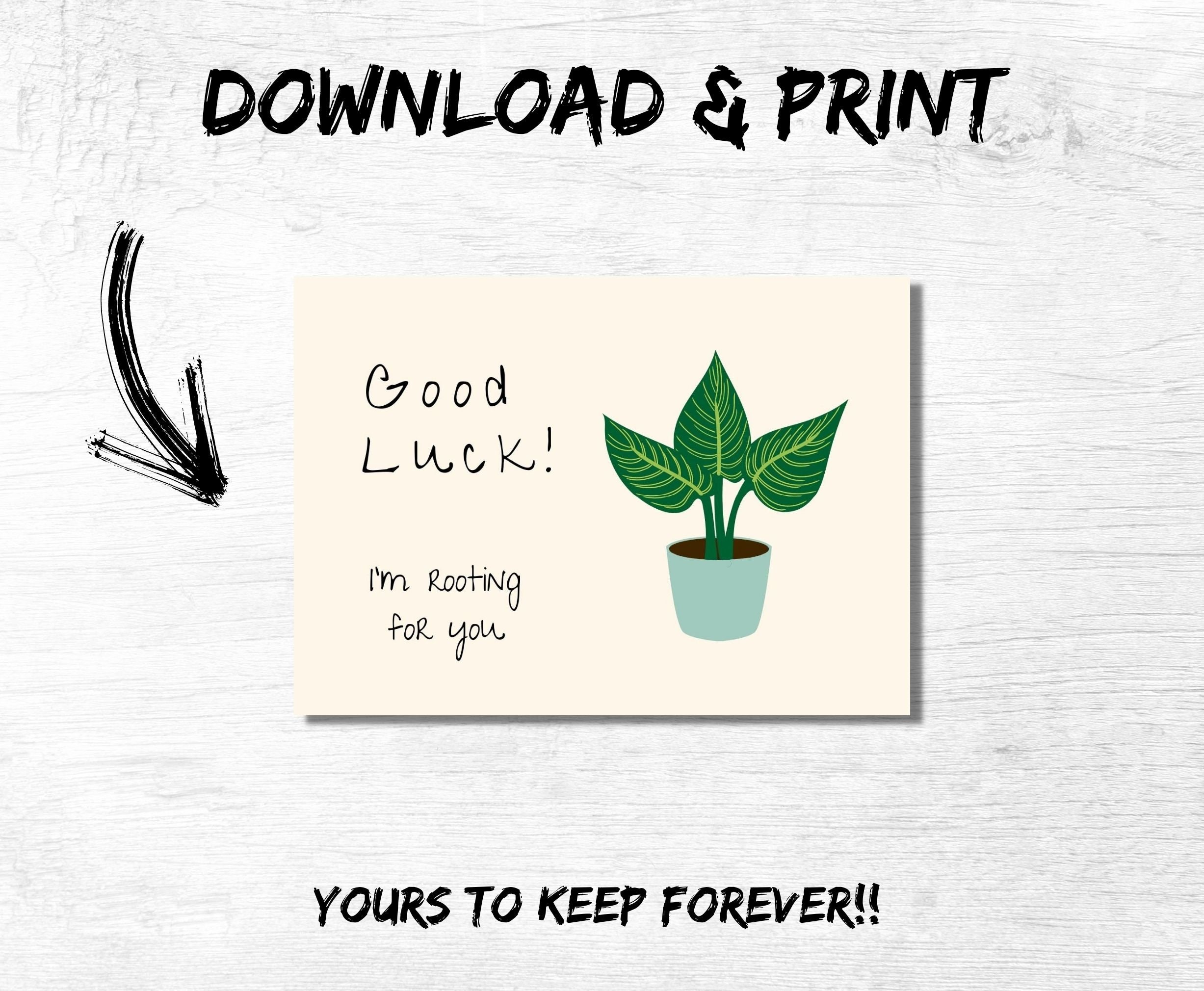 Buy Printable Good Luck Card Instant Download 7x5inch Cards for Good ...